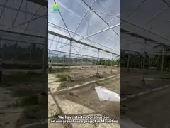 China Customized PC Sheet Hydroponic Garden Greenhouse For Lettuce for sale