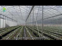 China Multispan 4 Season Plastic Film Insect Net Greenhouse For Cucumbers for sale