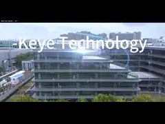 Dual-directional AI training modes