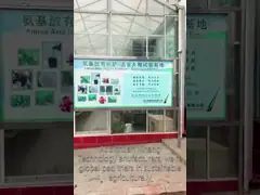 Sichuan Shihong amino acid factory -Lulu