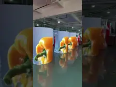 Flexible LED Display Screen