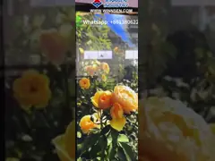 Are you looing for a Flower Vending Machine?