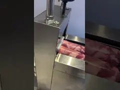 High-End GS2 GS4 GS6 GS8 CNC Full Stainless Steel Waterproof Series Slicing Machine