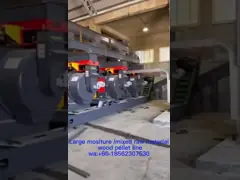Real Capacity 3.5 T/H 200KW ONE SET WOOD PELLET LINE IN MALAYSIA