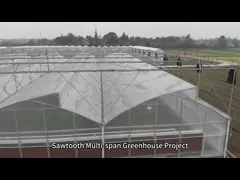 Sawtooth Greenhouse for Better Ventilation in Tropical Regions
