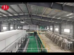 Cina Macchina di produzione di amido di manioca personalizzata con potenza / tensione su misura in vendita