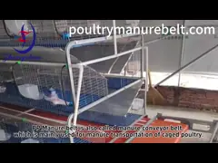 China Durable PP Manure Conveyor Belt Optimize Chicken Waste Management for sale
