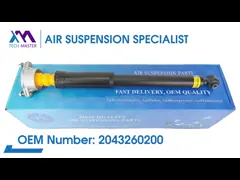 Cina 1027361-00-G ammortizzatore della sospensione dell'aria del Tesla Model X Front Left And Right Rear per Tesla in vendita
