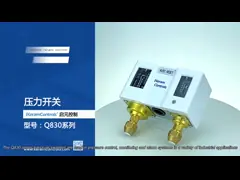 China SPDT Dual Pressure Switch for Air & Liquid Control -0.5 to 30 Bar Range with Copper Bellows for sale