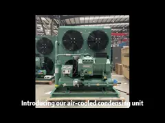 China Air Cooled Condensing Units Piston Compressor for walk in cooler cooling system cold room for sale