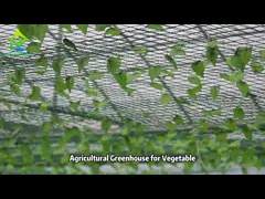Poly Tunnel Plastic Film Greenhouse for Vegetables