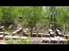 China 310mm 450mm Manual Beeswax Sheet Mill Roller Machine for sale