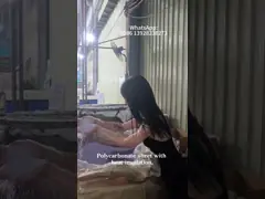 China Diffused Polycarbonate Panel Customized Light Diffuser PC Sheet For LED Light for sale