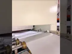 PP white plastic tray