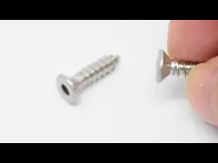 China Custom Hex Socket Cheese Head Screws A2-70 Grade 10mm Size for sale