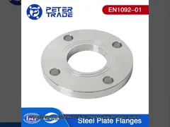 EN1092-01 Standard TYPE 01 Stainless Steel Plate Flange SS304 SS316L PN 2.5 PLFF Flat Face