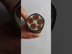 1kv CU XLPE PVC cavo di alimentazione a bassa tensione 1x70sqmm IEC60502-1 LV cavo