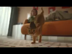 사전 필터 스폰지 무선 2.4G Wi-Fi 앱 5000mAh 배터리 자동 피더