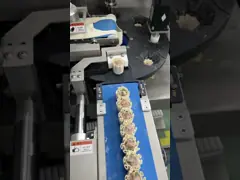China 10 Pcs/Min Siomai Wonton Machine Dumpling Machine Gyoza Making Machine CE for sale