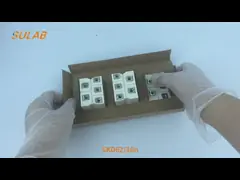 Brand New Original Igbt Power Module IGBT Power Drive Module IGBT Module SKD6216n