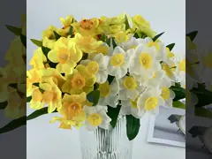 A bunch of real narcissus flowers for a fresh and clean living room and dining table decoration, art