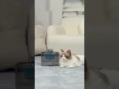 China Gravity Flow Design Electric Pet Water Fountain With Smart Sensor UV Sterilization for sale