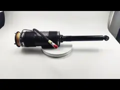 Hydraulic Shock Absorber For Mercedes Benz S-Class W221 Rear Left  ABC Strut   2113200313 2113208913