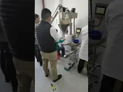 China 110v 220v 380v Full Automatic Packing Machine Spice Powder Filling Machine for sale