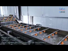 China Industrial Mango Juice Production Line Mango Pulp Processing Machinery for sale