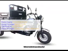 Three Wheel Motorized Cargo Tricycle 175CC Air Cooling CDI Ignition