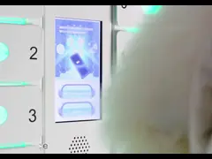 ¿Estás buscando un casillero para hacer dinero?