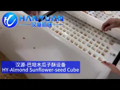 China Almond Seed Cube Production Line for sale