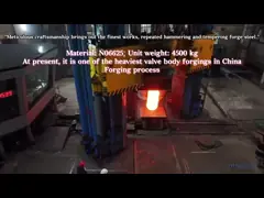 Inconel 625 Forging N06625 Nickel Alloy Forged Discs Chemical Processing Reactors Parts