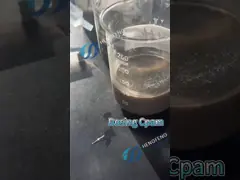 Precio de poliacrilamida catiónica para el tratamiento de agua premium pam en China
