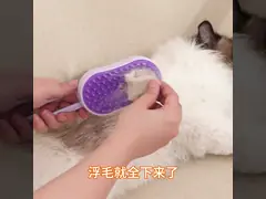 China OEM Super Quiet Suction Cat Grooming Brush Thick Coat Fine Hair High Speed for sale