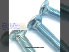 China Grade 4.8 6.8 8.8 Zinc Plated Carbon Steel Carriage bolts With Washer nuts for sale