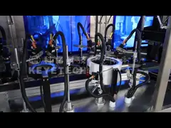 China ROPP Bottle Cap Vision Inspection Machine with Online Data Statistics Functions for sale