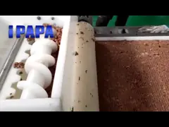 macchina di produzione per il taglio di lamiere di barrette di proteine dure per il cliente indiano