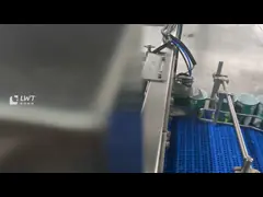 Canned fish drainer