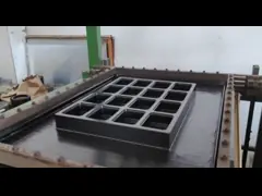 plastic cavity tray container