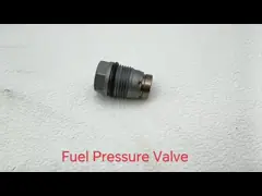 Common Rail  Pressure Relief Valve 1110010015  Limiting Valve