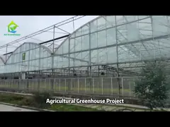 Agricultural Tempered Glass House Vegetable Growing Multi-span Gothic Greenhouse