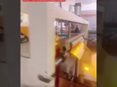 China Customized disposable vacuum formed PP golden circular mooncake pizza tray supplier for sale