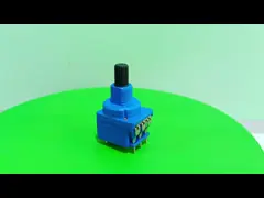 中国 WH116AK B500K 100K 500Kポテンチオメーター 高電流ディマー 1000W 双制御ボタンポテンチオメーター 販売のため