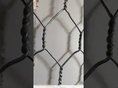 Gabbie rivestite torte doppio del gabbione della pietra del cavo del PVC della maglia esagonale del gabbione