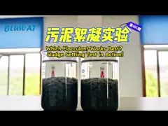 China High Effictive Anionic Polyacrylamide Powder Wastewater Treatment Chemicals for sale