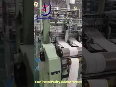 Precision Egg Belts Made in China – ZhongShen’s 16-Year Expertise