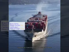 China Special Service Collect Service Cargo Consolidation for Affordable Sea Shipping to Reunion for sale