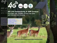 China 4G Solar Powered Outdoor Surveillance Camera HD Night Vision Intelligent PIR Sensor Mobile Phone Remote Monitoring IP66 Waterproof Designed For Wildlife Tracking for sale