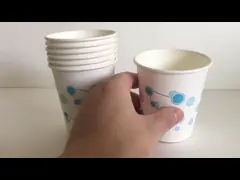 Single Paper Cup